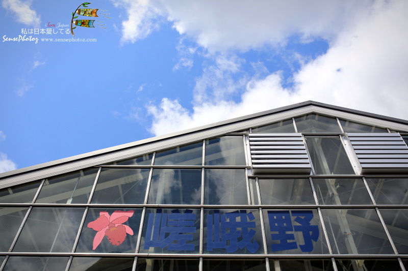 Yosoko Japan ~ Kyoto » SensePhotoz