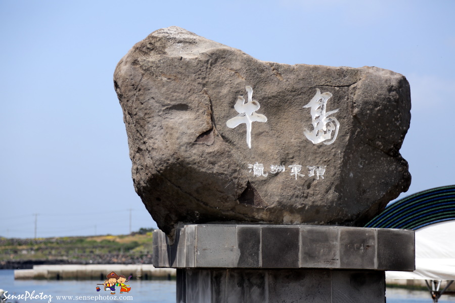 Go Go Korea Spring ~ Udo Island » SensePhotoz