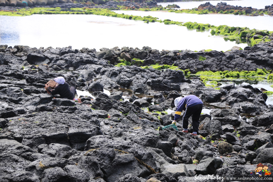 Go Go Korea Spring ~ Udo Island » SensePhotoz