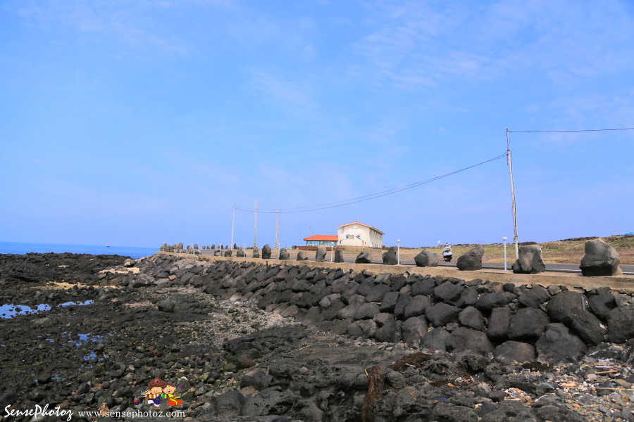 Go Go Korea Spring ~ Udo Island » SensePhotoz