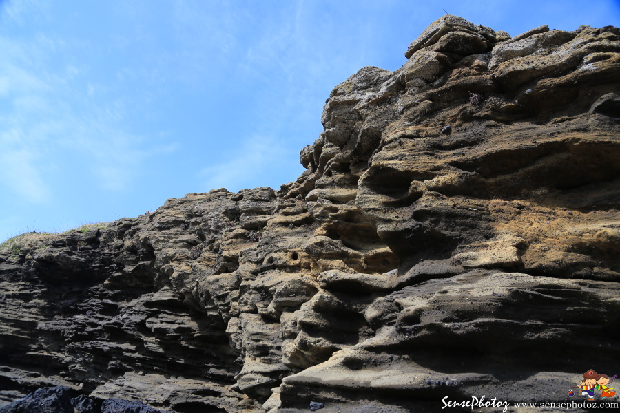 Go Go Korea Spring ~ Udo Island » SensePhotoz