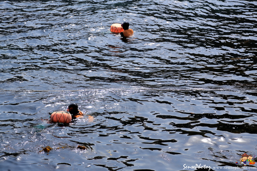 Go Go Korea Spring ~ Udo Island » SensePhotoz