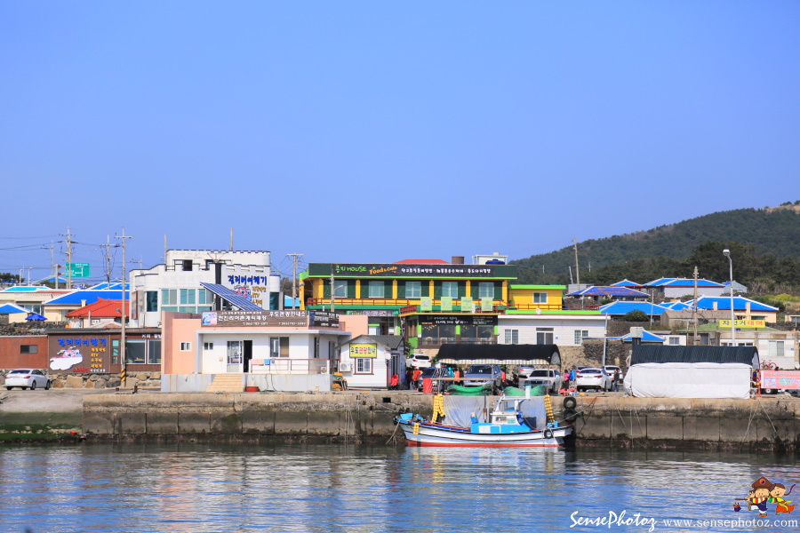 Go Go Korea Spring ~ Udo Island » SensePhotoz