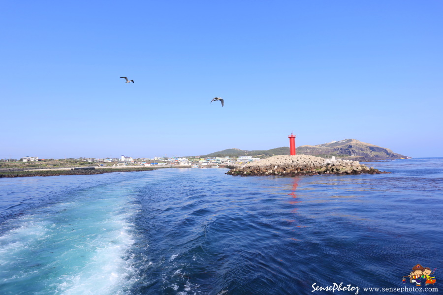 Go Go Korea Spring ~ Udo Island » SensePhotoz